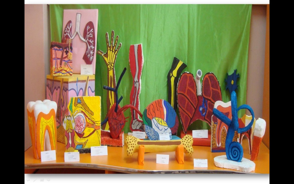 Expozitie din materiale reciclabile | Colegiul National "Nicolae Iorga"